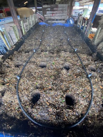 Improving Soil Functionality – Regen Ben