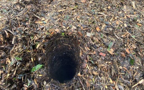 Improving Soil Functionality – Regen Ben