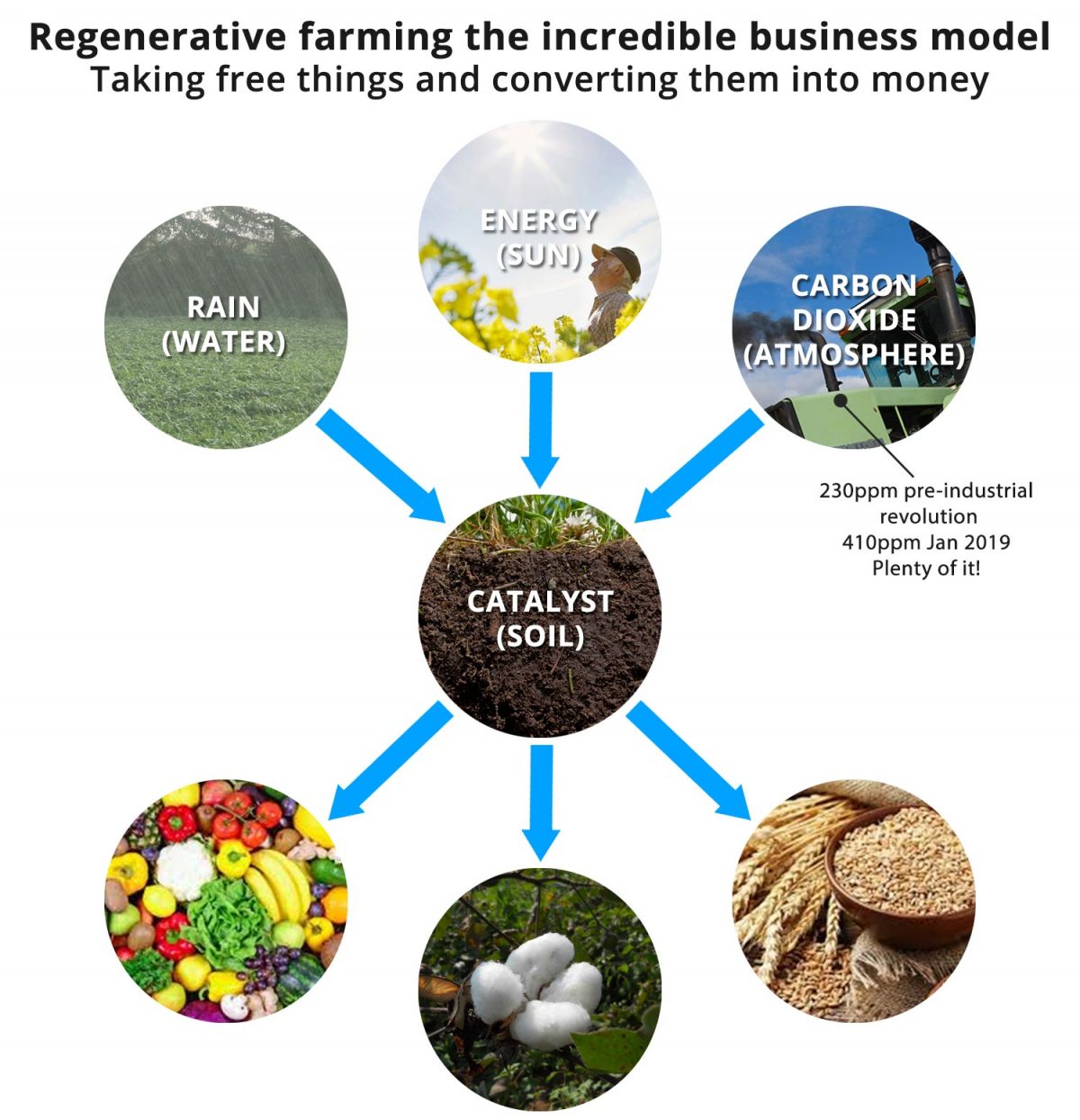 Regenerative Agriculture – Regen Ben